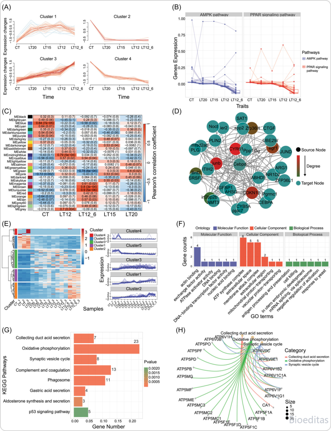 生信技能 | TOmicsVis：带有Shinyapp界面的转录组分析和可视化R包（功能介绍与案例分析） - 陕西佰艾基因信息科技有限公司