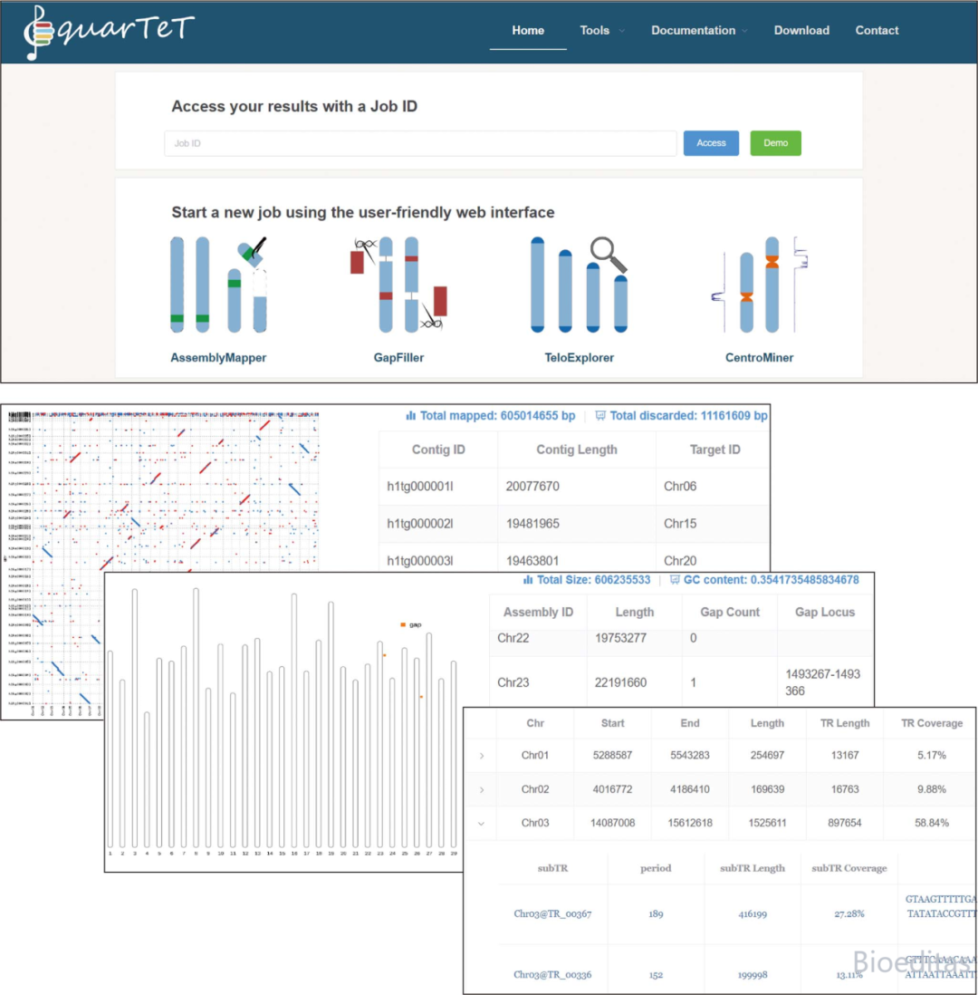 生信技能 | quarTeT：专门用于T2T组装和着丝粒重复识别研究的新工具 - 陕西佰艾基因信息科技有限公司