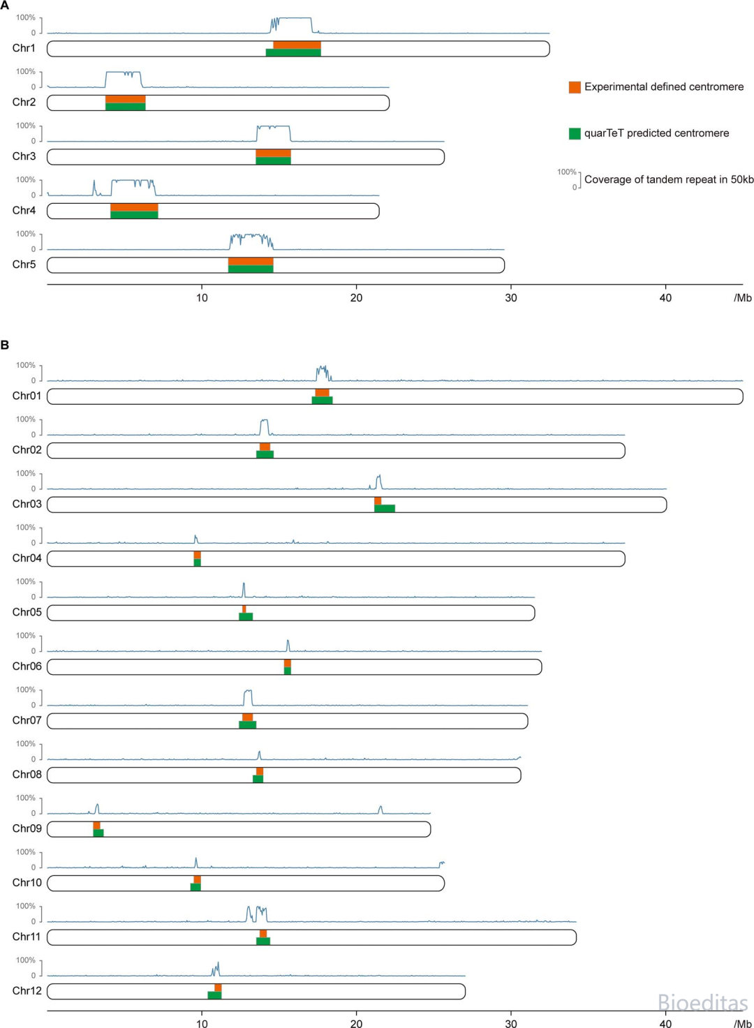 生信技能 | quarTeT：专门用于T2T组装和着丝粒重复识别研究的新工具 - 陕西佰艾基因信息科技有限公司