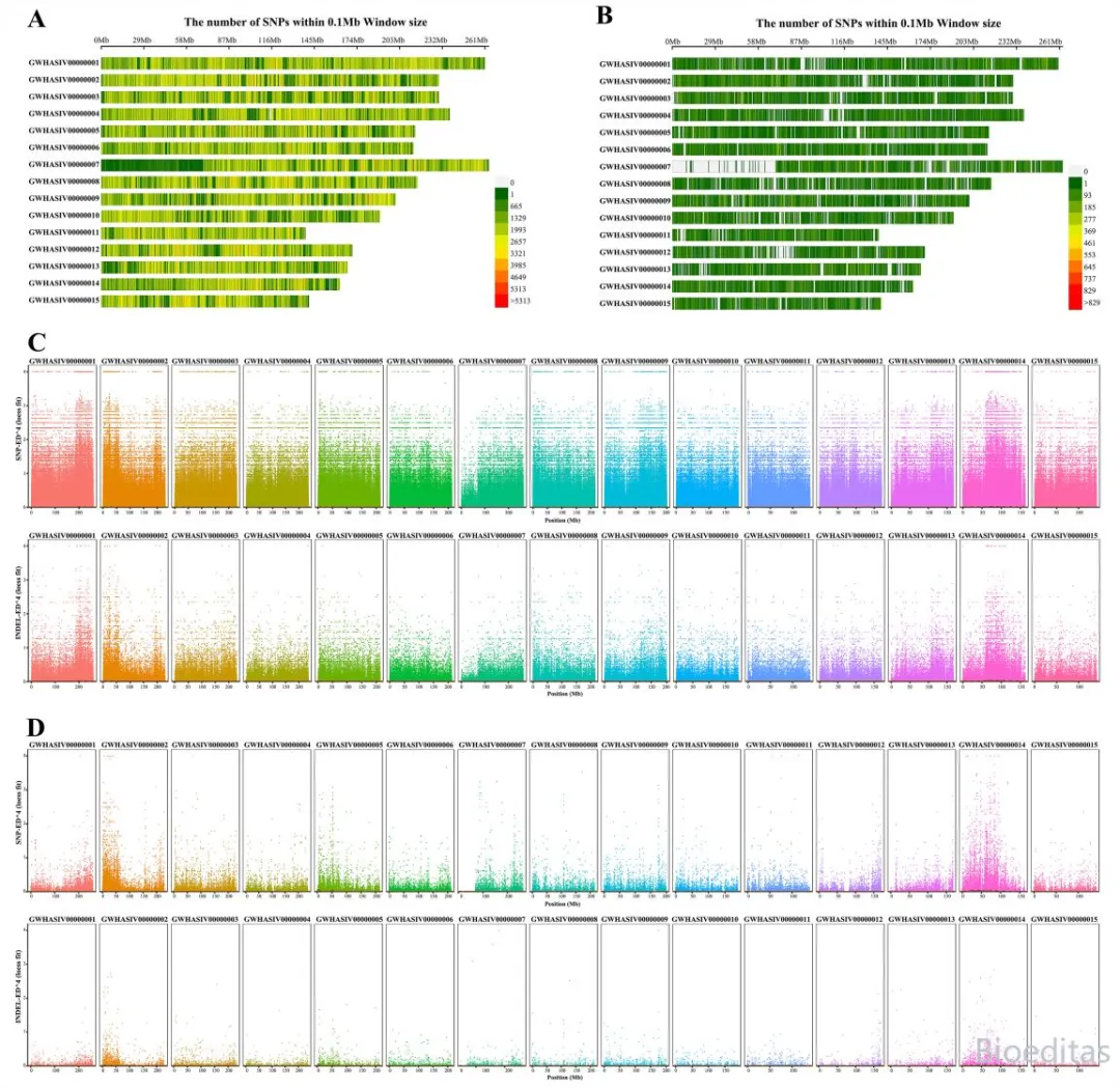 文献集锦 | BSA-Seq、BSR-Seq和RNA-Seq联合分析揭示茶树群体中参与紫叶形成的关键基因 - 陕西佰艾基因信息科技有限公司
