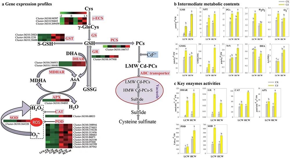 陕西佰艾基因信息科技有限公司