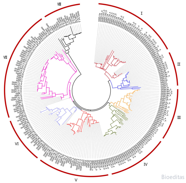SPL基因家族分析就这么来！两篇文章带你理顺流程 - 陕西佰艾基因信息科技有限公司