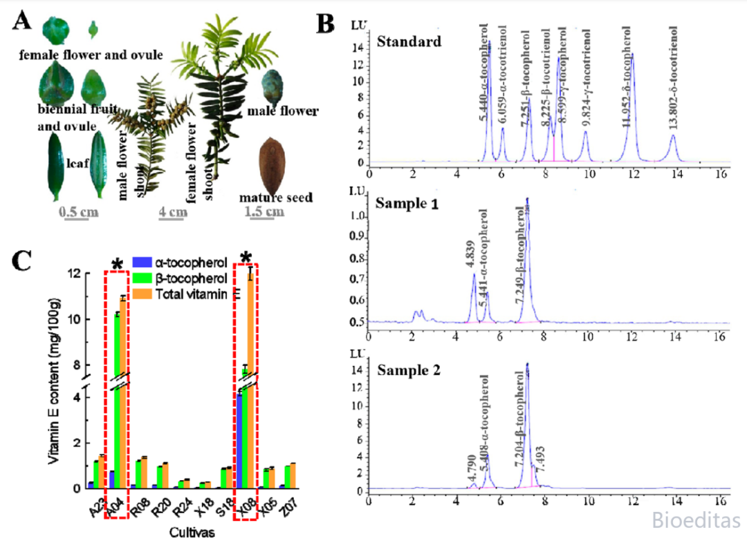 一篇搞定转录组文章撰写思路！ - 陕西佰艾基因信息科技有限公司