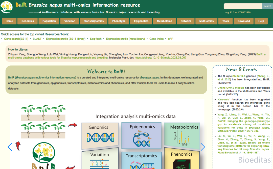 生信技能 | BnIR：一个用于甘蓝型油菜研究和育种的多组学数据库（内含多个数据库链接） - 陕西佰艾基因信息科技有限公司