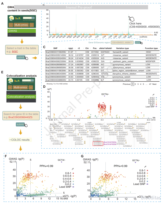 生信技能 | BnIR：一个用于甘蓝型油菜研究和育种的多组学数据库（内含多个数据库链接） - 陕西佰艾基因信息科技有限公司