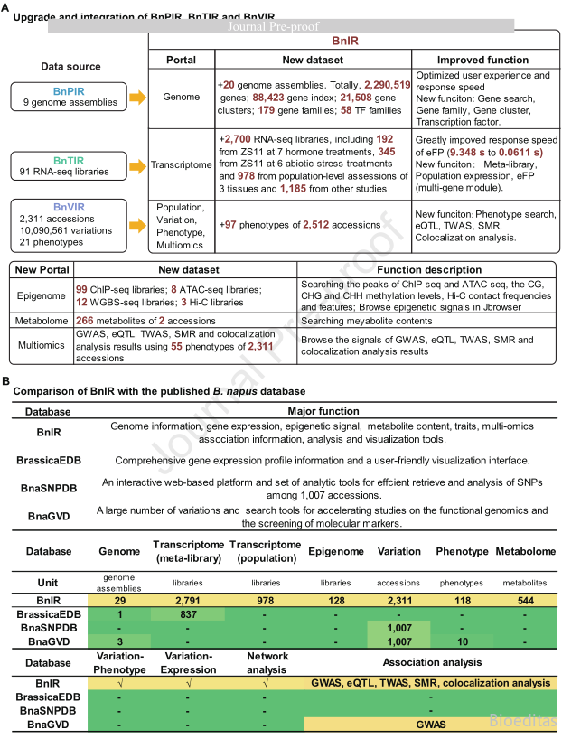 生信技能 | BnIR：一个用于甘蓝型油菜研究和育种的多组学数据库（内含多个数据库链接） - 陕西佰艾基因信息科技有限公司