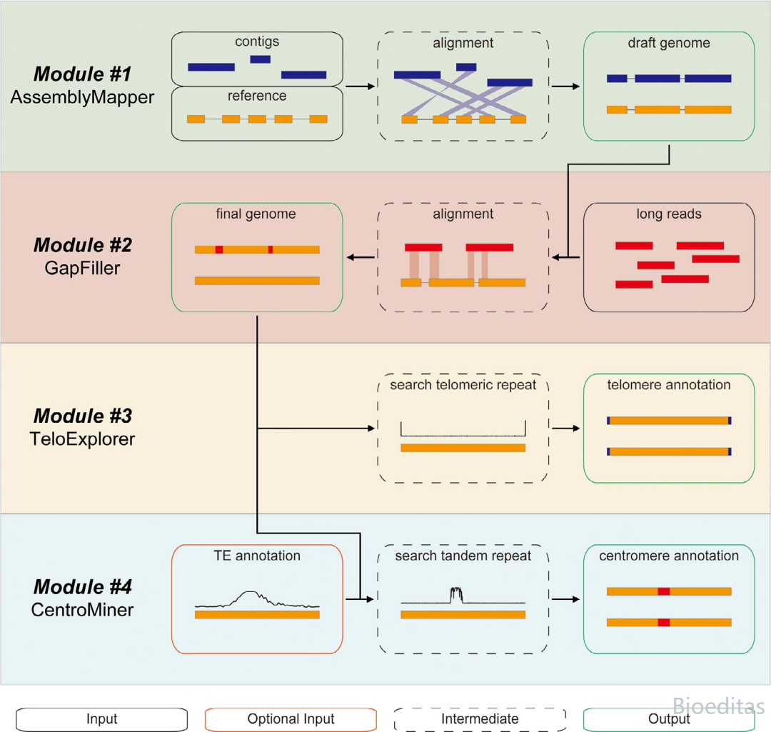 生信技能 | quarTeT：专门用于T2T组装和着丝粒重复识别研究的新工具 - 陕西佰艾基因信息科技有限公司