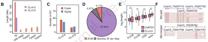 经典案例 | 近乎完整黄瓜参考基因组和多组学数据库Cucumber-DB发布！ - 陕西佰艾基因信息科技有限公司