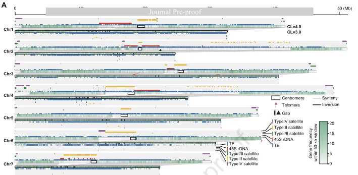 经典案例 | 近乎完整黄瓜参考基因组和多组学数据库Cucumber-DB发布！ - 陕西佰艾基因信息科技有限公司