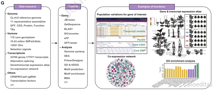 经典案例 | 近乎完整黄瓜参考基因组和多组学数据库Cucumber-DB发布！ - 陕西佰艾基因信息科技有限公司